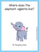 Elephant Jokes for Kids – 70+ Clean & Funny Elephant Jokes