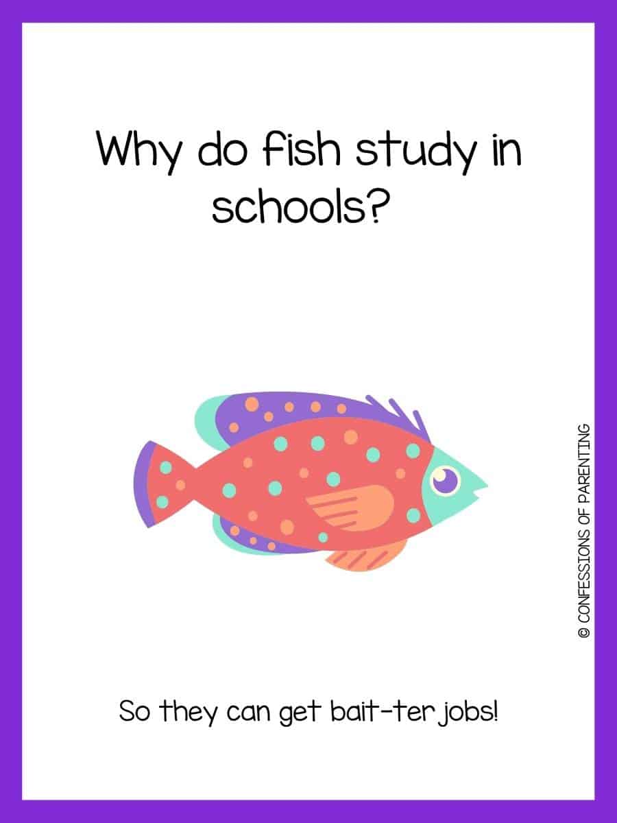 110 Best Fish Riddles That Will Reel You In