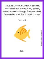 110 Best Fish Riddles That Will Reel You In [Free Riddle Cards]
