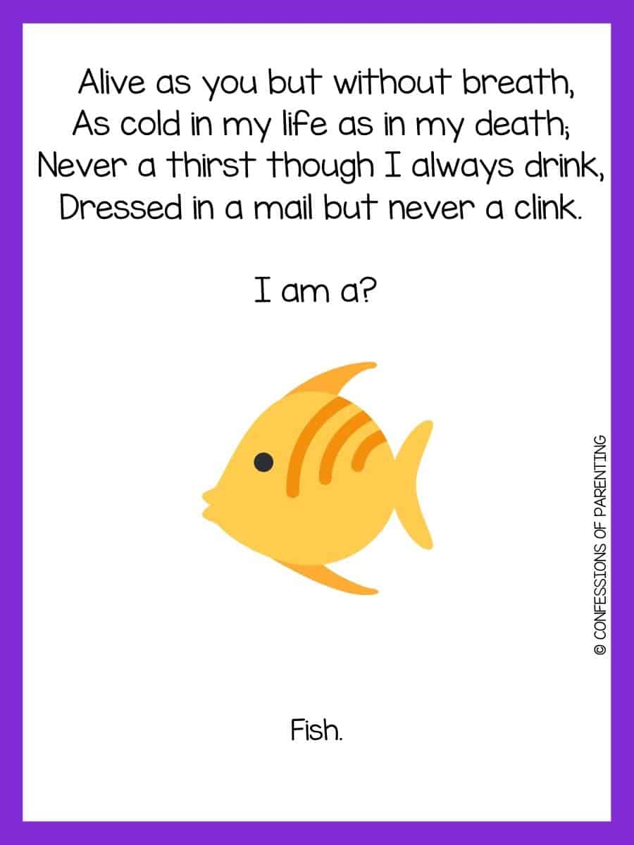 110 Best Fish Riddles That Will Reel You In [Free Riddle Cards]