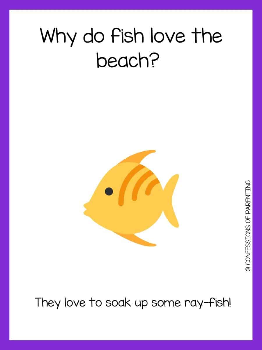 110 Best Fish Riddles That Will Reel You In [Free Riddle Cards]