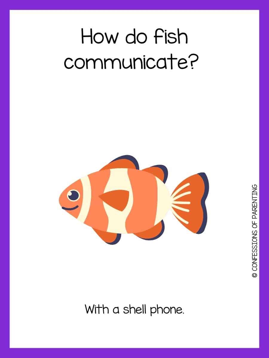 110 Best Fish Riddles That Will Reel You In