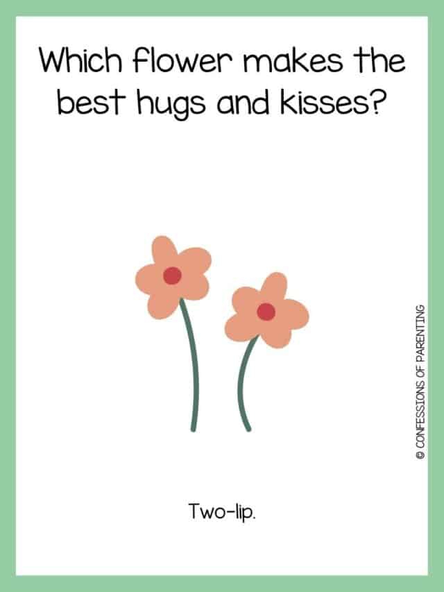 175 Fun and Challenging Spring Riddles [Free Riddle Cards]