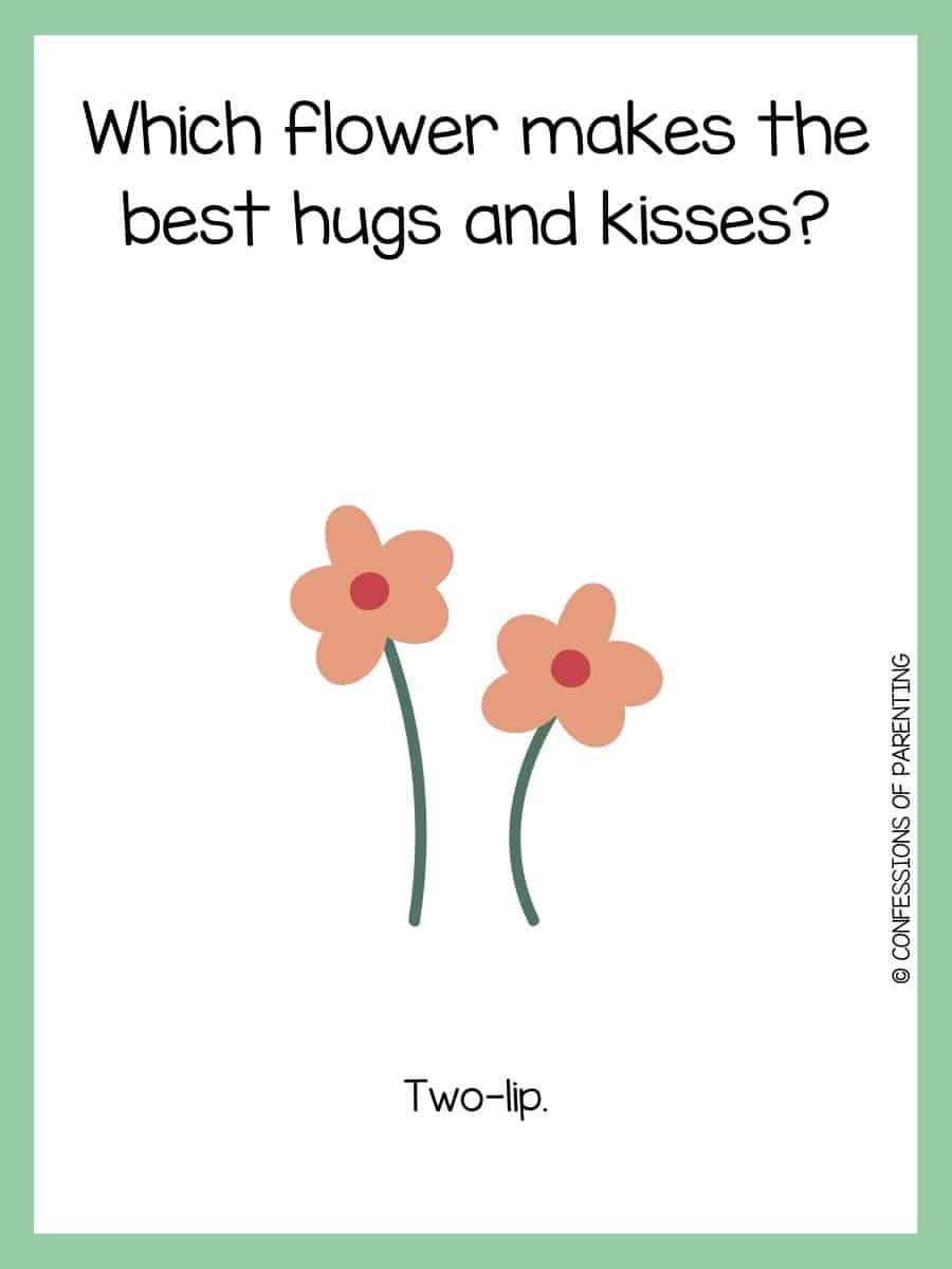 175 Fun and Challenging Spring Riddles [Free Riddle Cards]