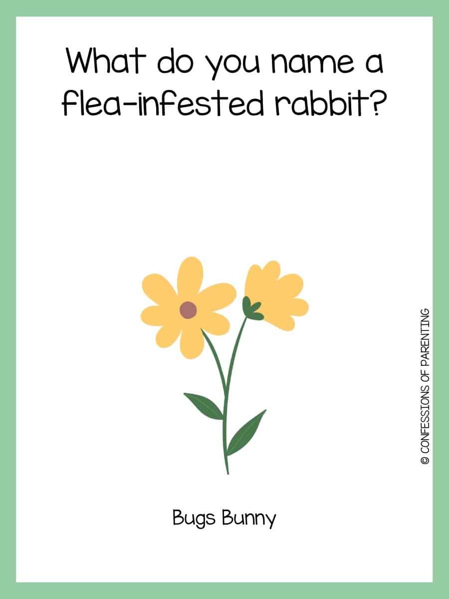 175 Fun and Challenging Spring Riddles