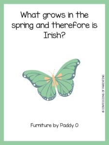175 Fun and Challenging Spring Riddles