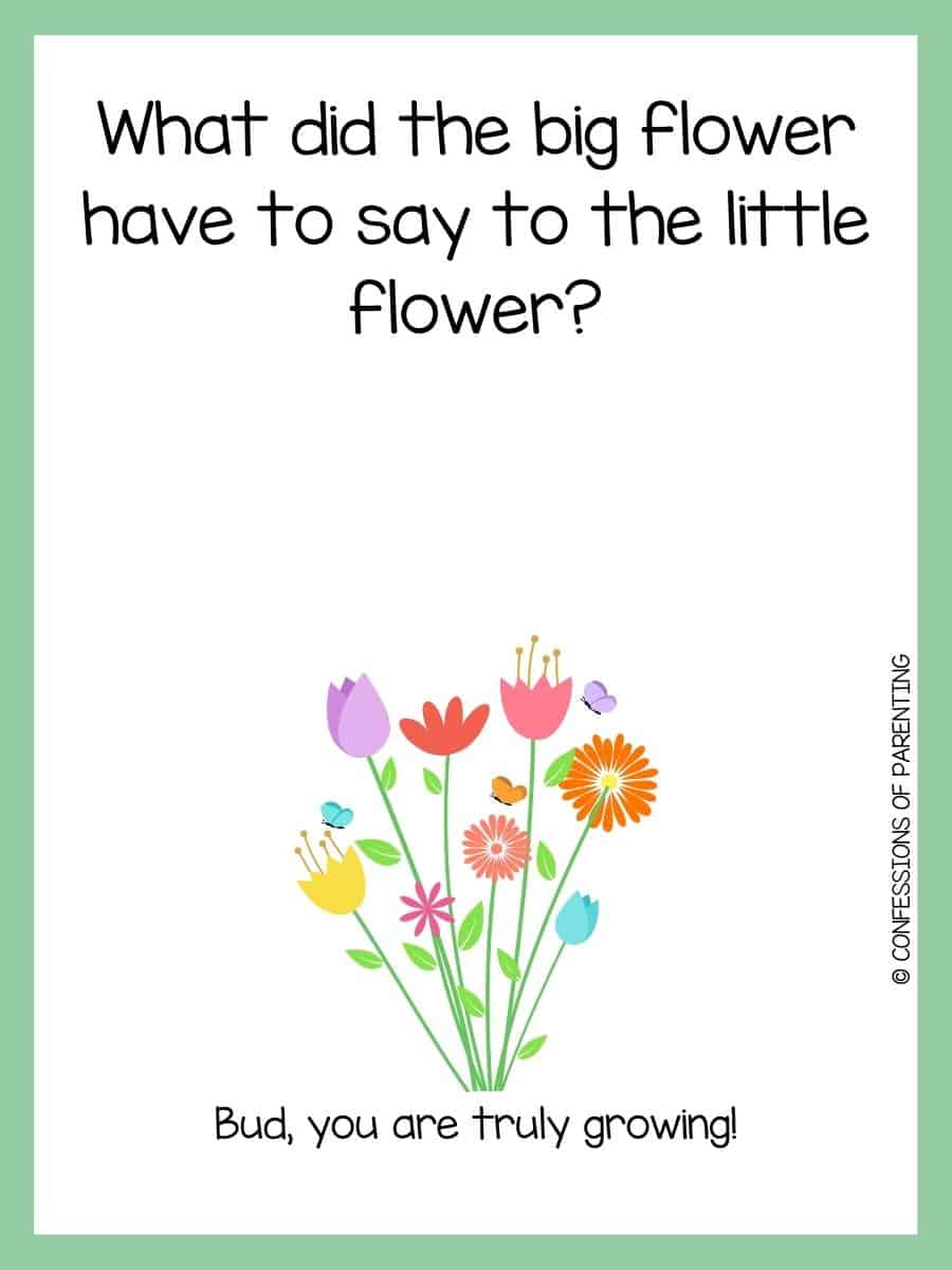 175 Fun and Challenging Spring Riddles