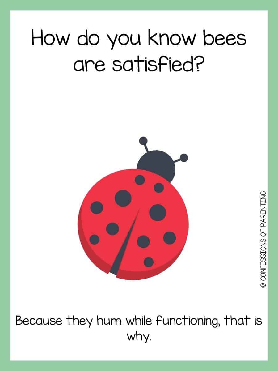 175 Fun and Challenging Spring Riddles [Free Riddle Cards]