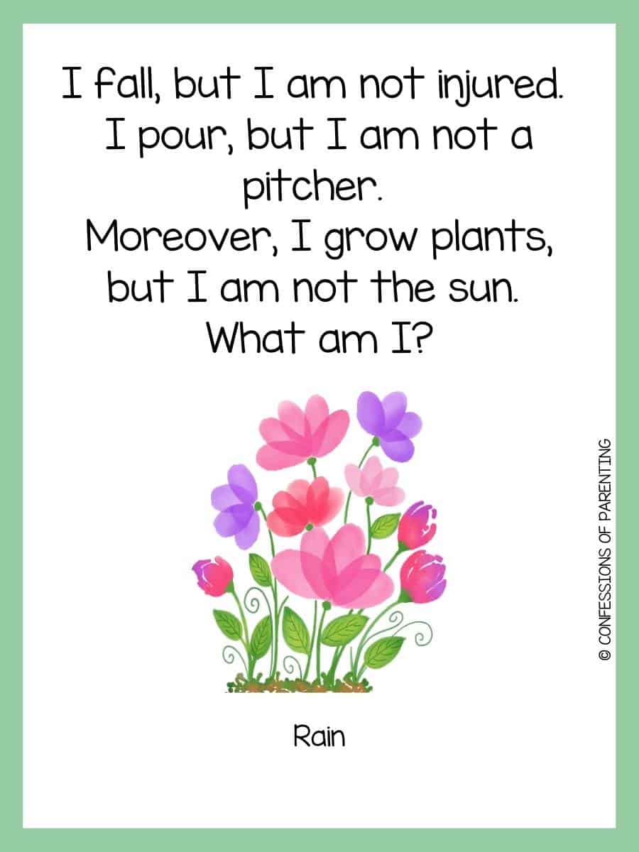 175 Fun and Challenging Spring Riddles [Free Riddle Cards]