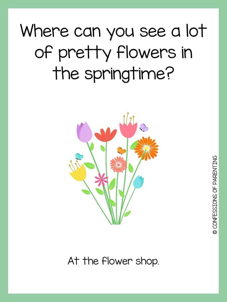 175 Fun and Challenging Spring Riddles [Free Riddle Cards]