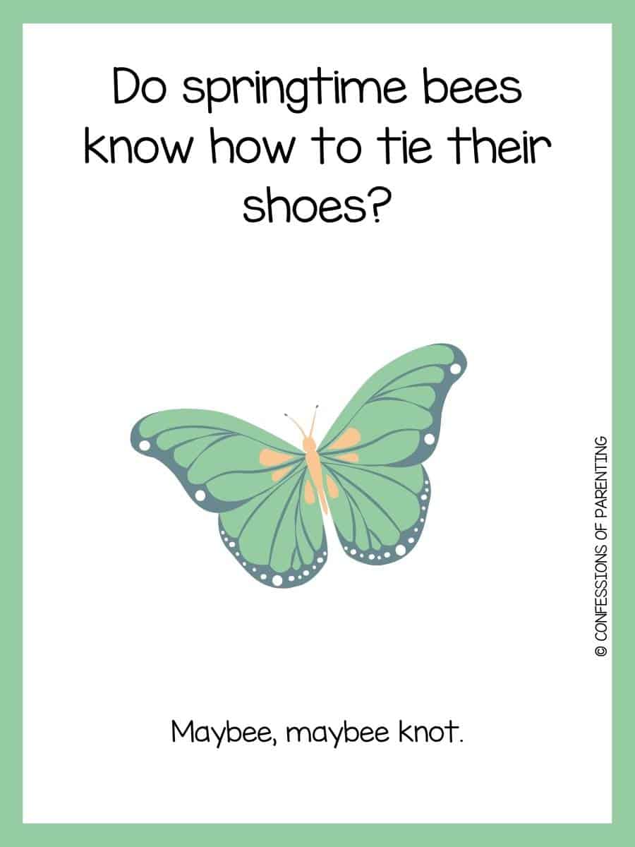 175 Fun and Challenging Spring Riddles [Free Riddle Cards]