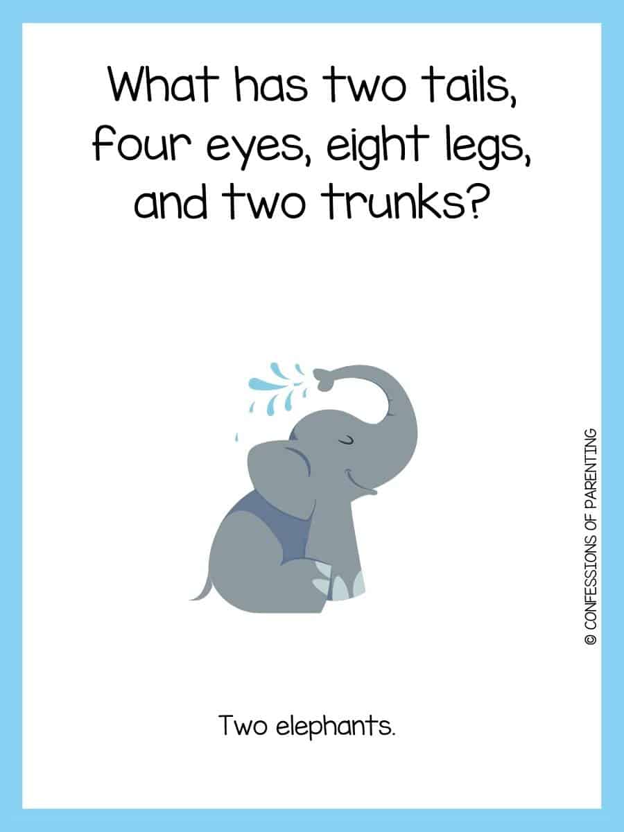 115 Funny Elephant Jokes That Make You LOL [Free Joke Cards]