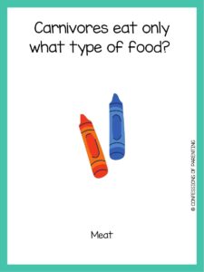 100 Great 5th Grade Trivia Questions with Answers