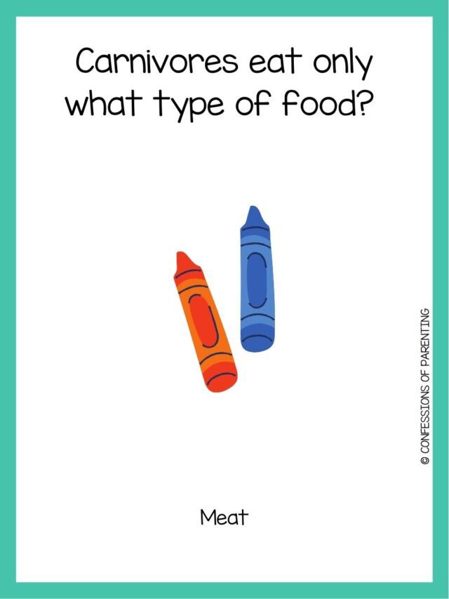 100 Great 5th Grade Trivia Questions with Answers