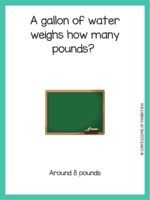 100 Great 5th Grade Trivia Questions with Answers