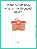 100 Great 5th Grade Trivia Questions with Answers