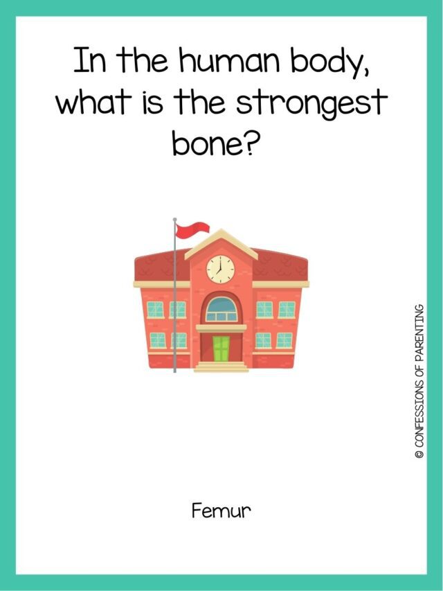 100 Great 5th Grade Trivia Questions with Answers