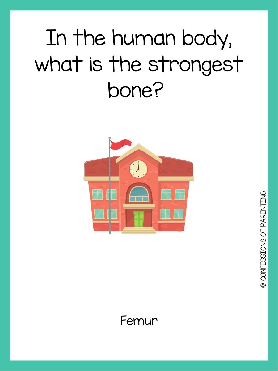 100 Great 5th Grade Trivia Questions with Answers