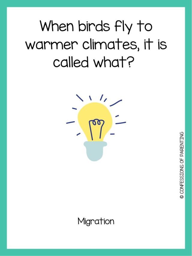 100 Great 5th Grade Trivia Questions with Answers