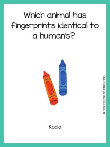 100 Great 5th Grade Trivia Questions with Answers