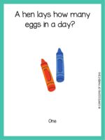 100 Great 5th Grade Trivia Questions with Answers