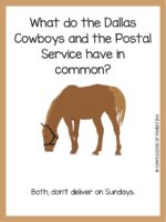 65+ Hilarious Cowboy Jokes From the Wild West