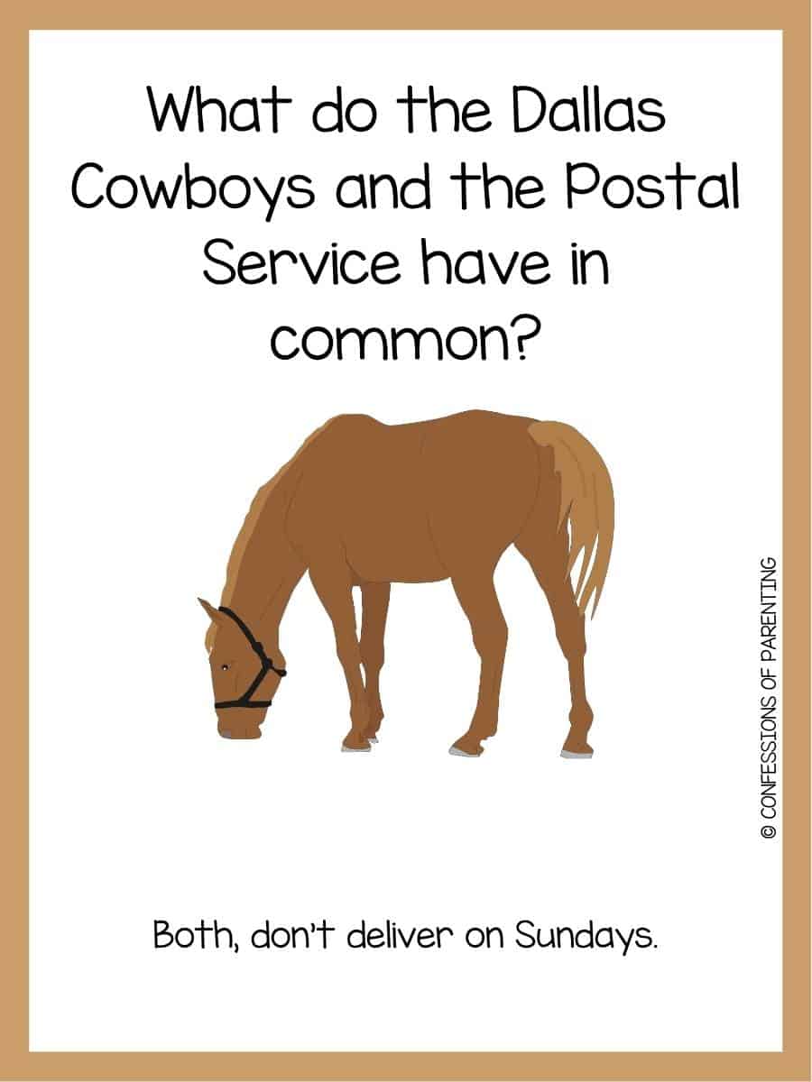 65+ Hilarious Cowboy Jokes From the Wild West