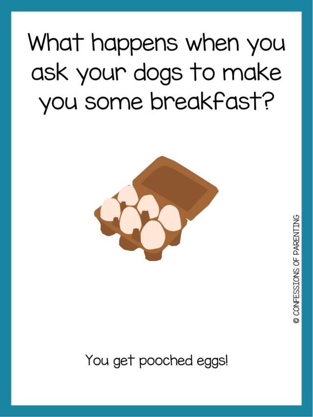 40 Best Egg Riddles That Will Crack You Up