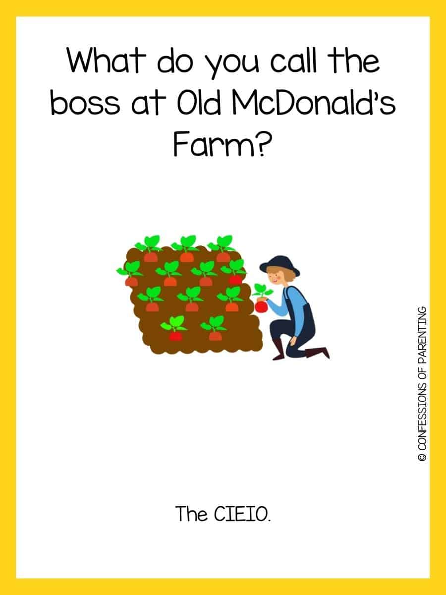 90+ Best Farmer Jokes That Will Make You LOL