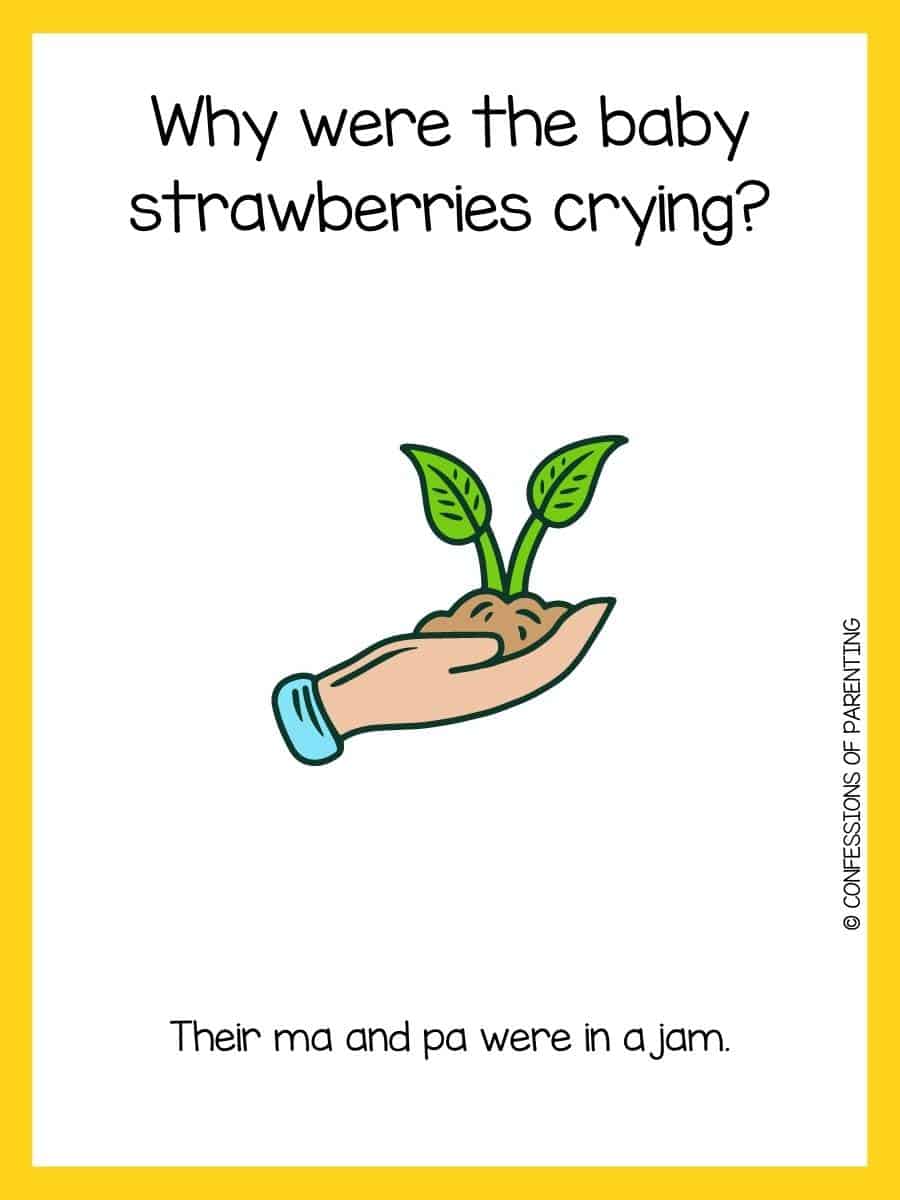 90+ Best Farmer Jokes That Will Make You LOL