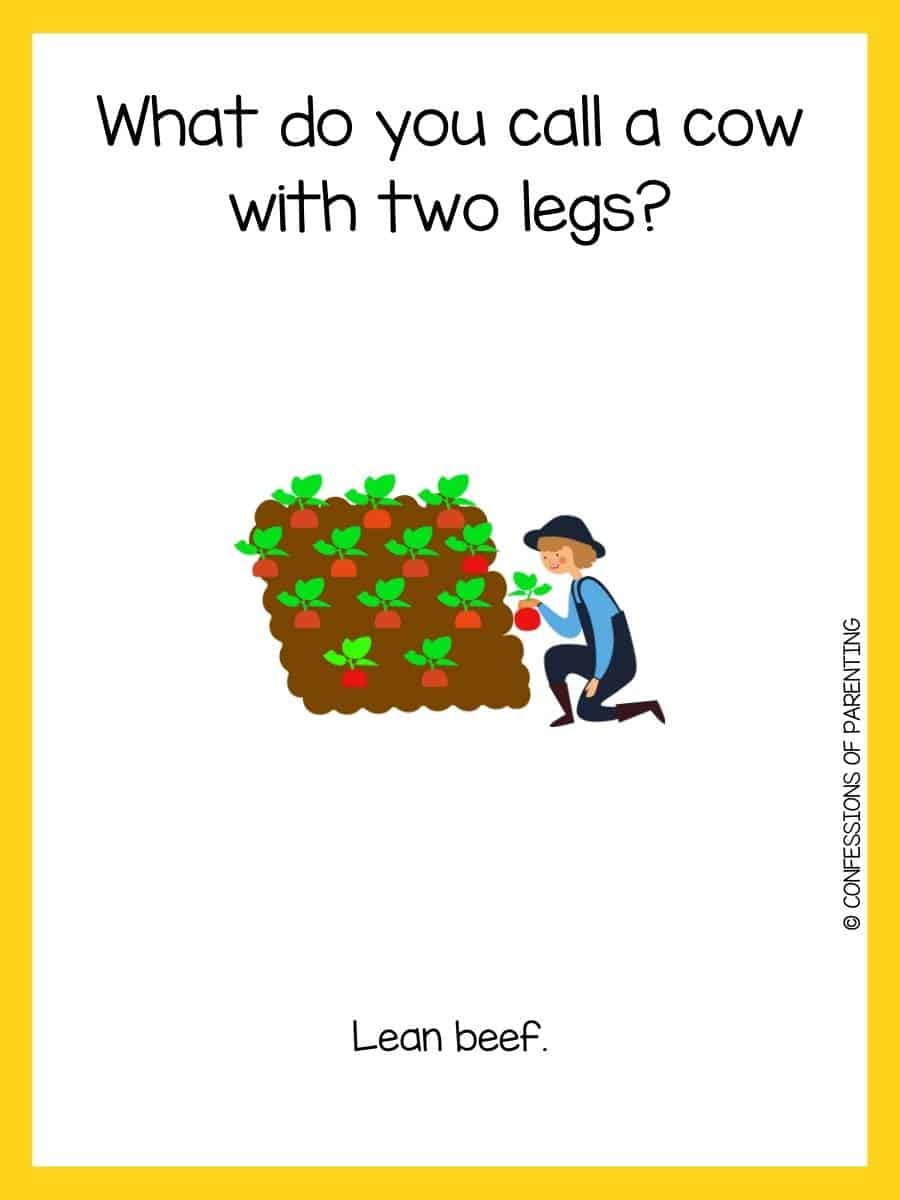 90+ Best Farmer Jokes That Will Make You LOL [Free Joke Cards]