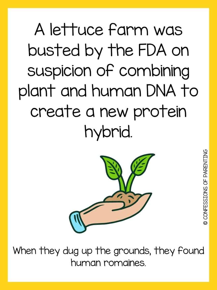 90+ Best Farmer Jokes That Will Make You LOL [Free Joke Cards]