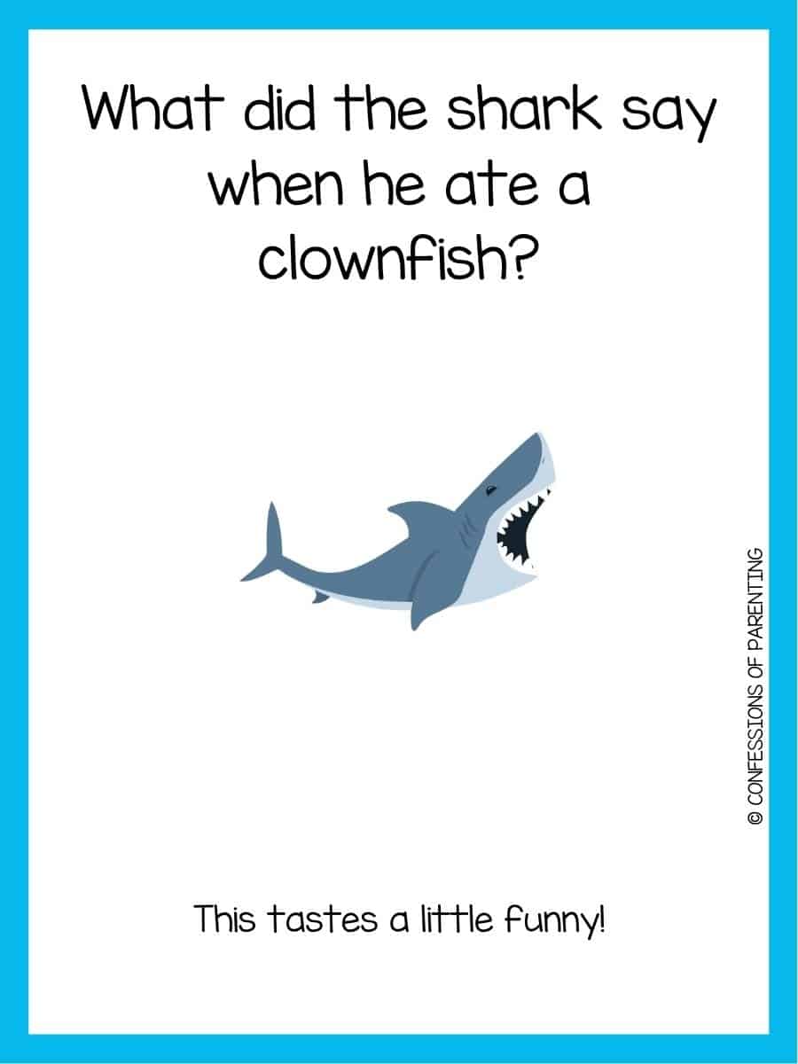 Best Shark Jokes for Kids – 70+ Clean & Funny Shark Jokes