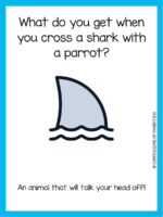 100+ Best Shark Jokes that Are Fin-Tastic [Free Joke Cards]