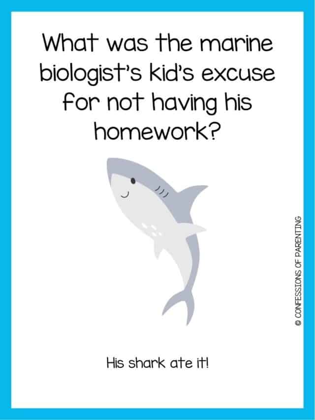 100 Best Shark Jokes That Are Fin-Tastic [Free Joke Cards] – YOUG