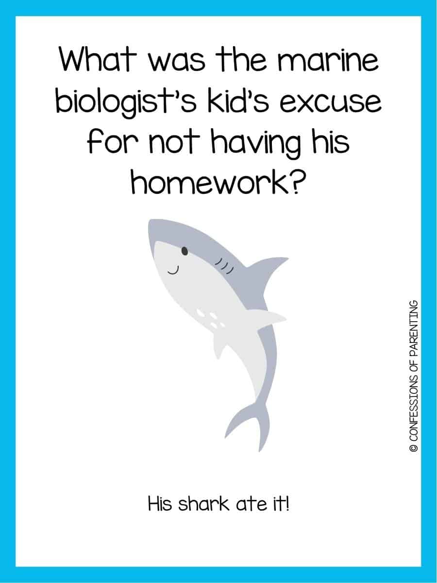 100+ Best Shark Jokes that Are Fin-Tastic [Free Joke Cards]