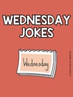 50+ Best Wednesday Jokes That Make LOL