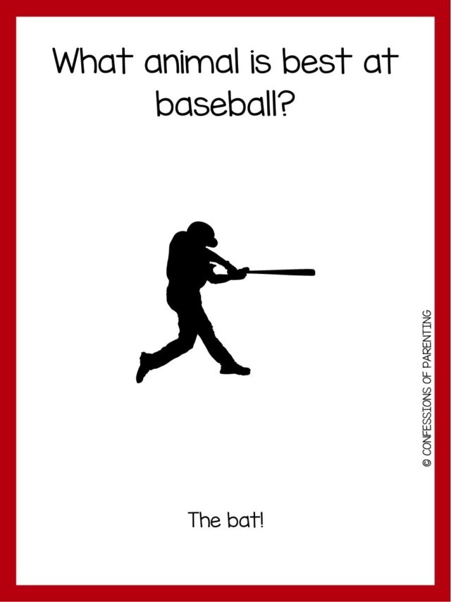 100 Best Baseball Jokes That Hit it Out of the Park