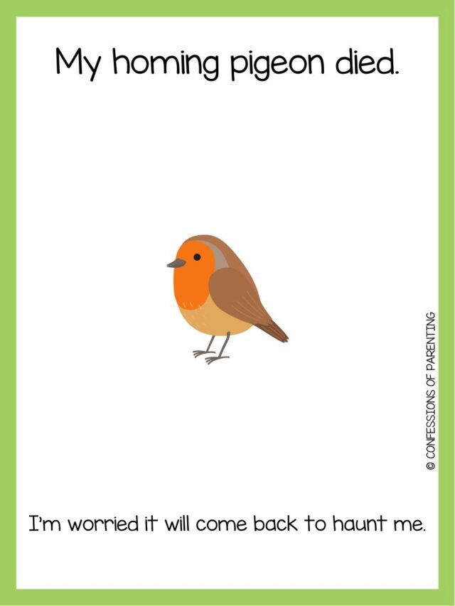 101 Best Bird Jokes That Make You LOL