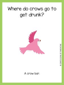 101 Best Bird Jokes That Make You LOL