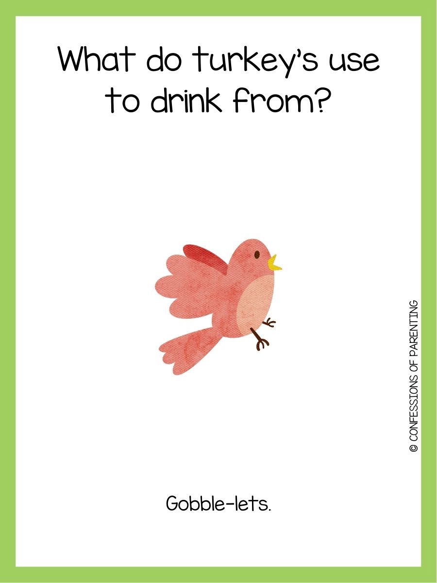 101 Best Bird Jokes That Make You LOL