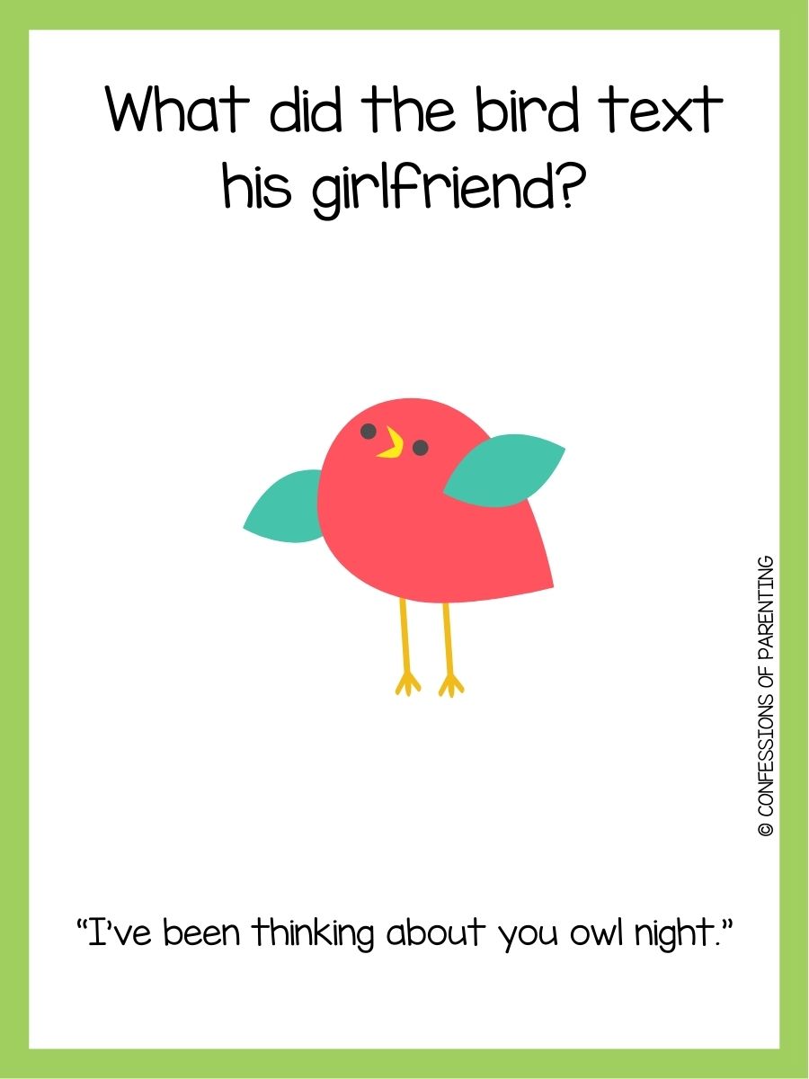 101 Best Bird Jokes That Make You LOL