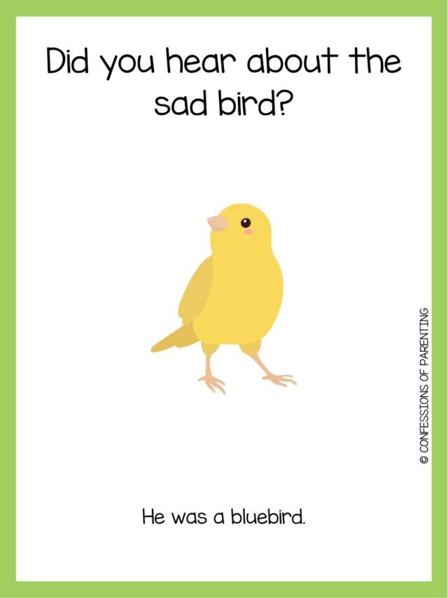 101 Best Bird Jokes That Make You LOL