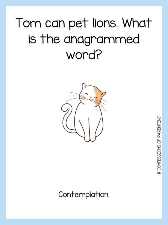 50+ Best Cat Riddles That Will Have You Purring With Delight