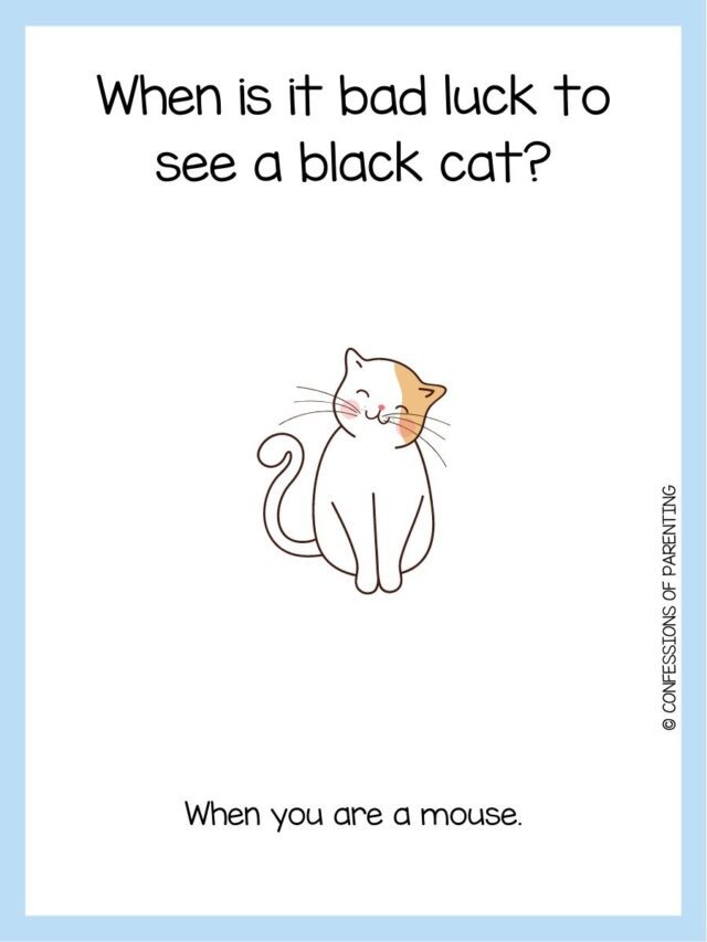 50+ Best Cat Riddles [Free Riddle Cards]