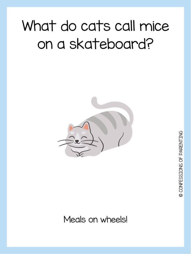 50+ Best Cat Riddles That Will Have You Purring With Delight