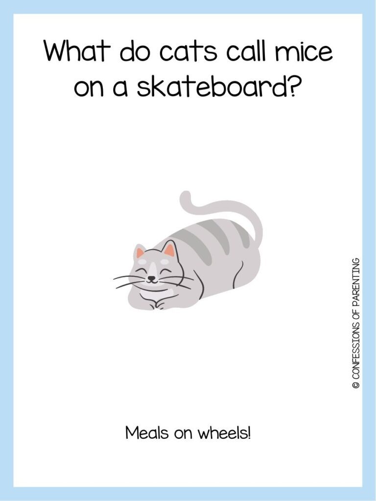 50+ Best Cat Riddles That Will Have You Purring With Delight