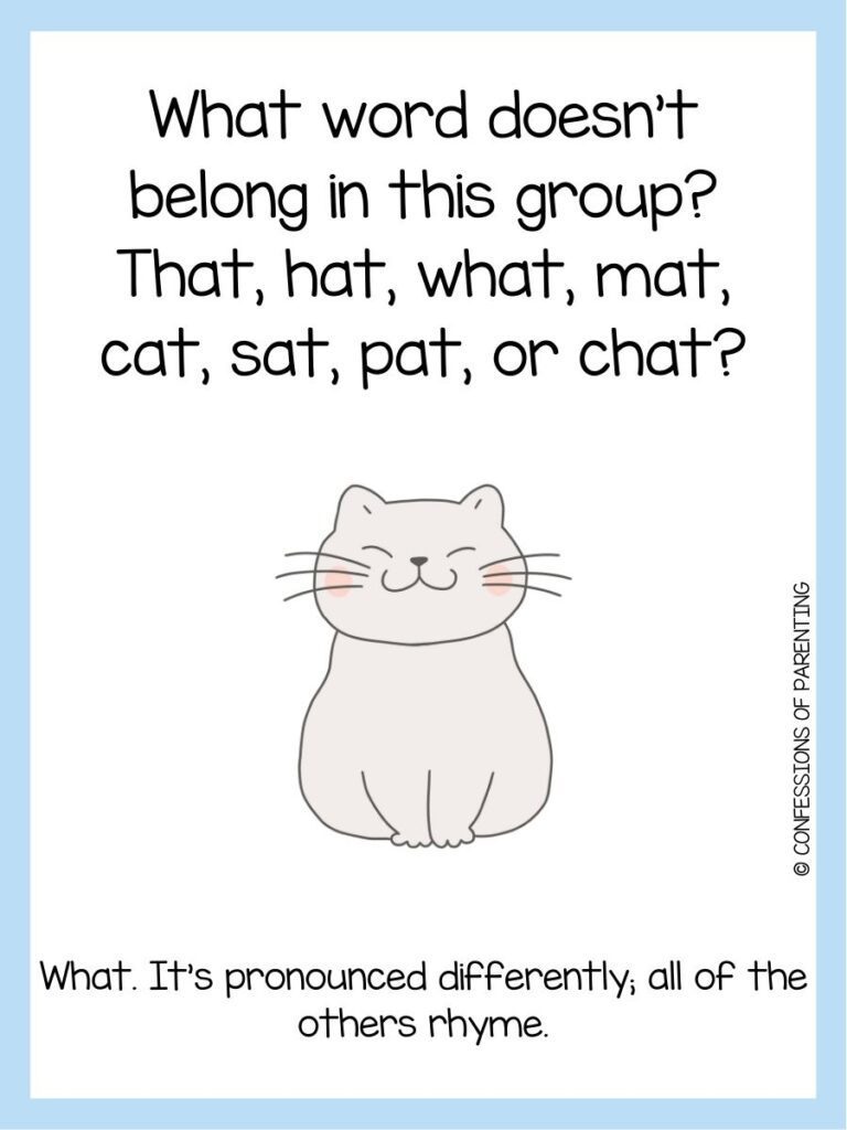 50+ Best Cat Riddles That Will Have You Purring With Delight