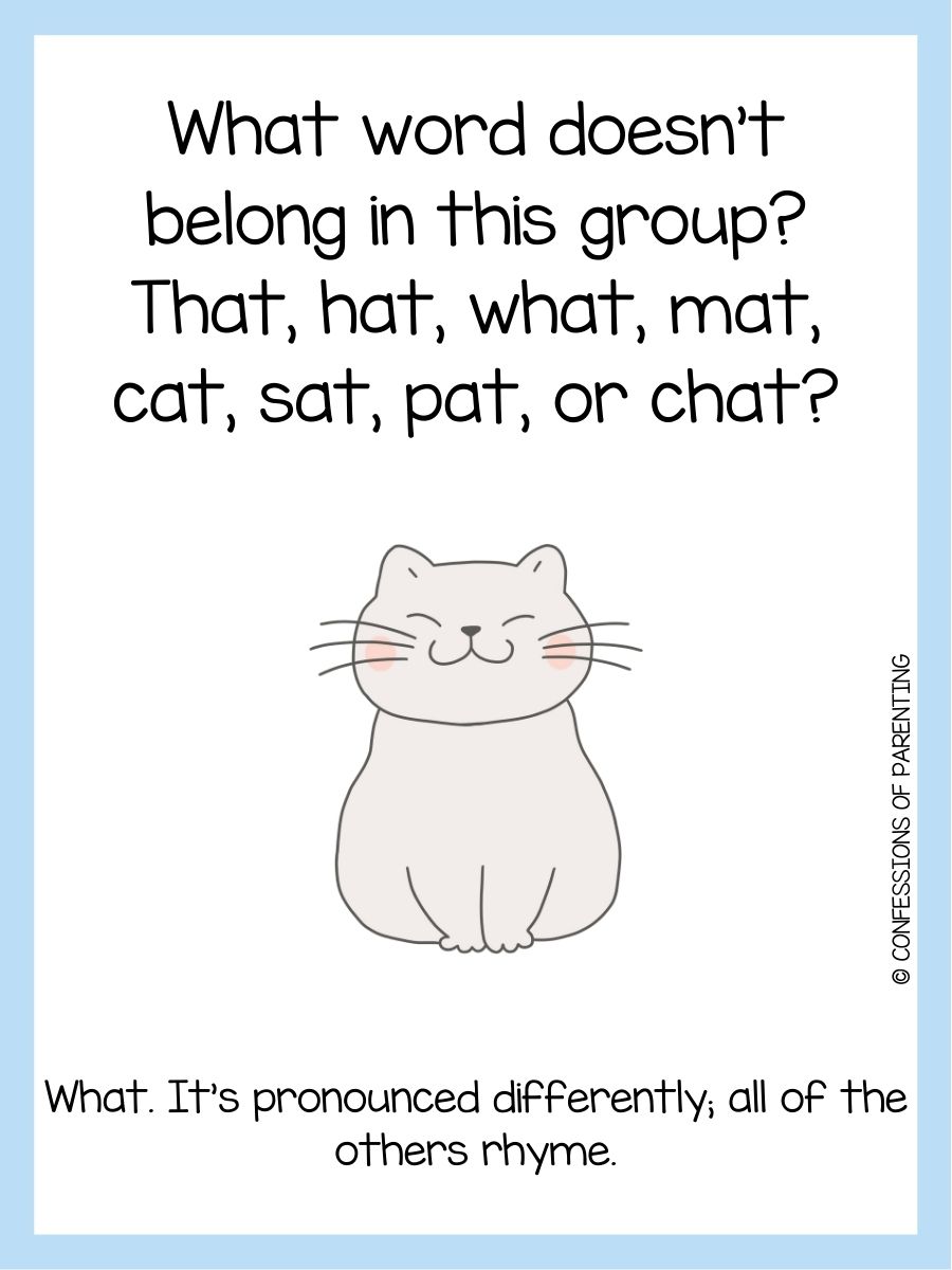 50+ Best Cat Riddles That Will Have You Purring With Delight