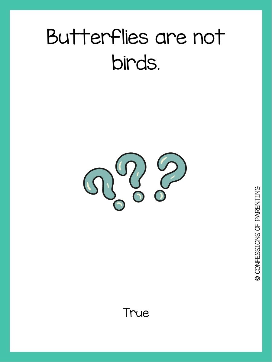 100 Fun True or False Questions for Kids 100 Fun True or False Questions for Kids